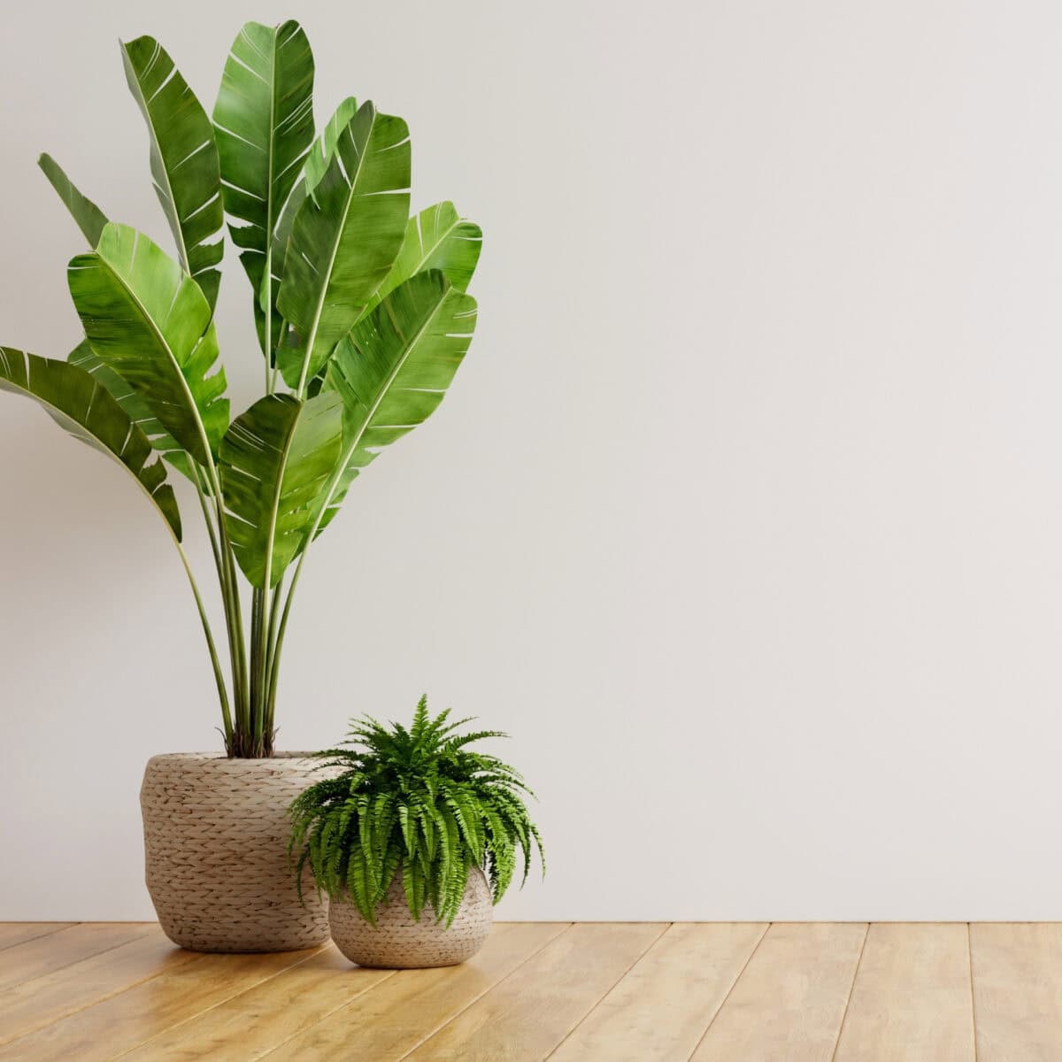 Low Waste Living: 11 Less Waste Hacks To Simplify Sustainability