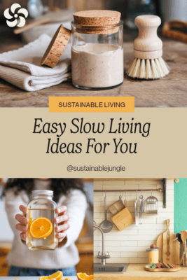 101 Sustainability Tips & Ideas For A Greener Lifestyle