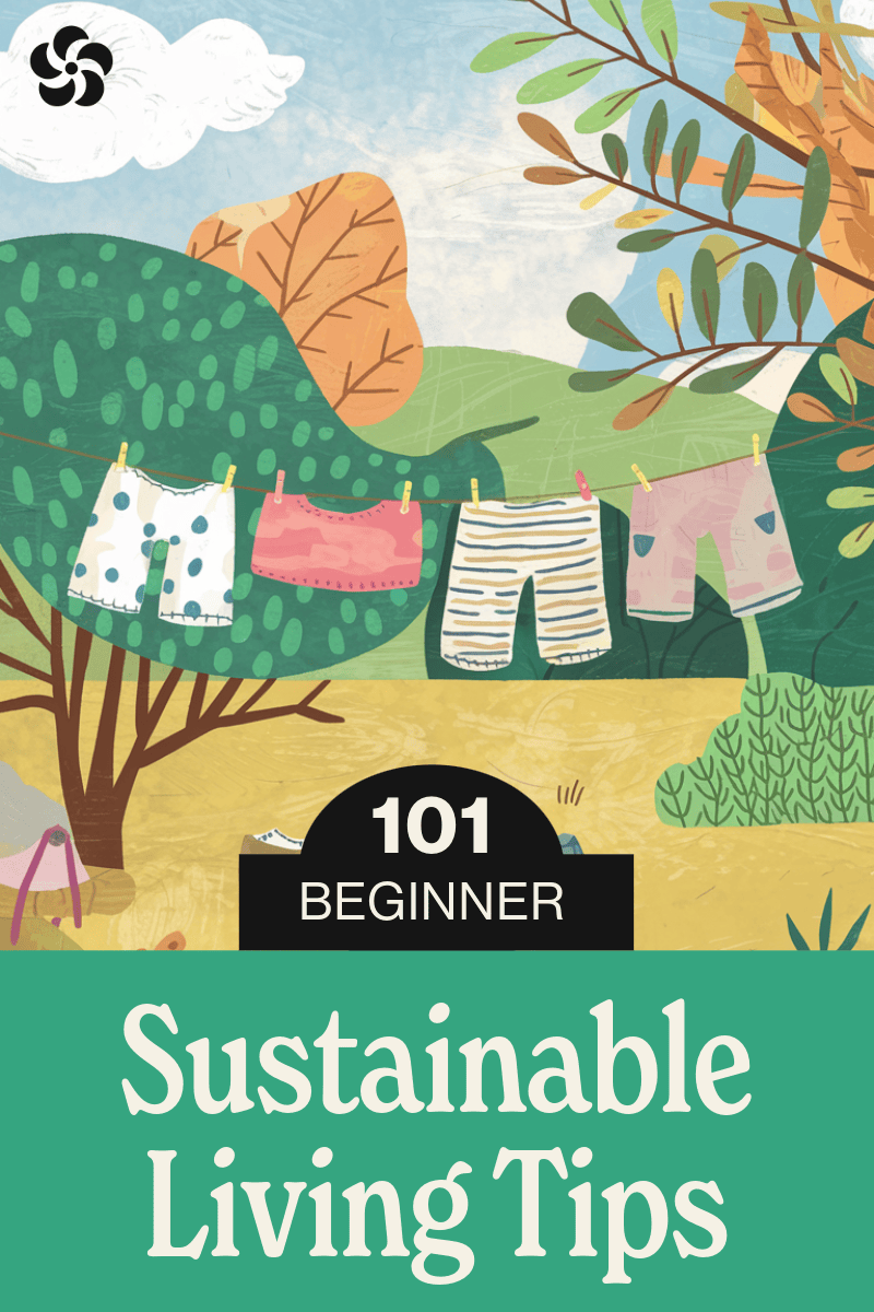 101 Sustainability Tips & Ideas For A Greener Lifestyle