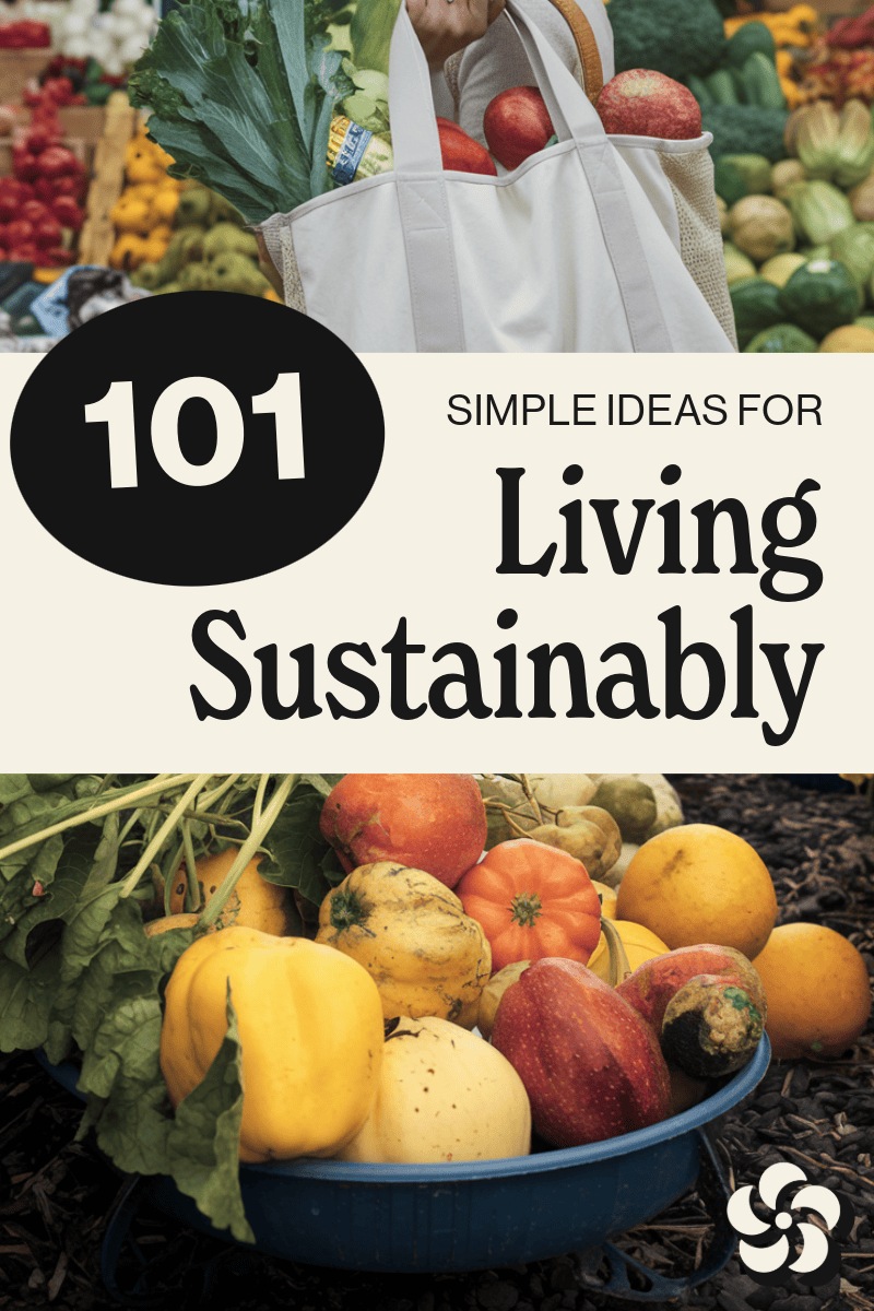 101 Sustainability Tips & Ideas For A Greener Lifestyle