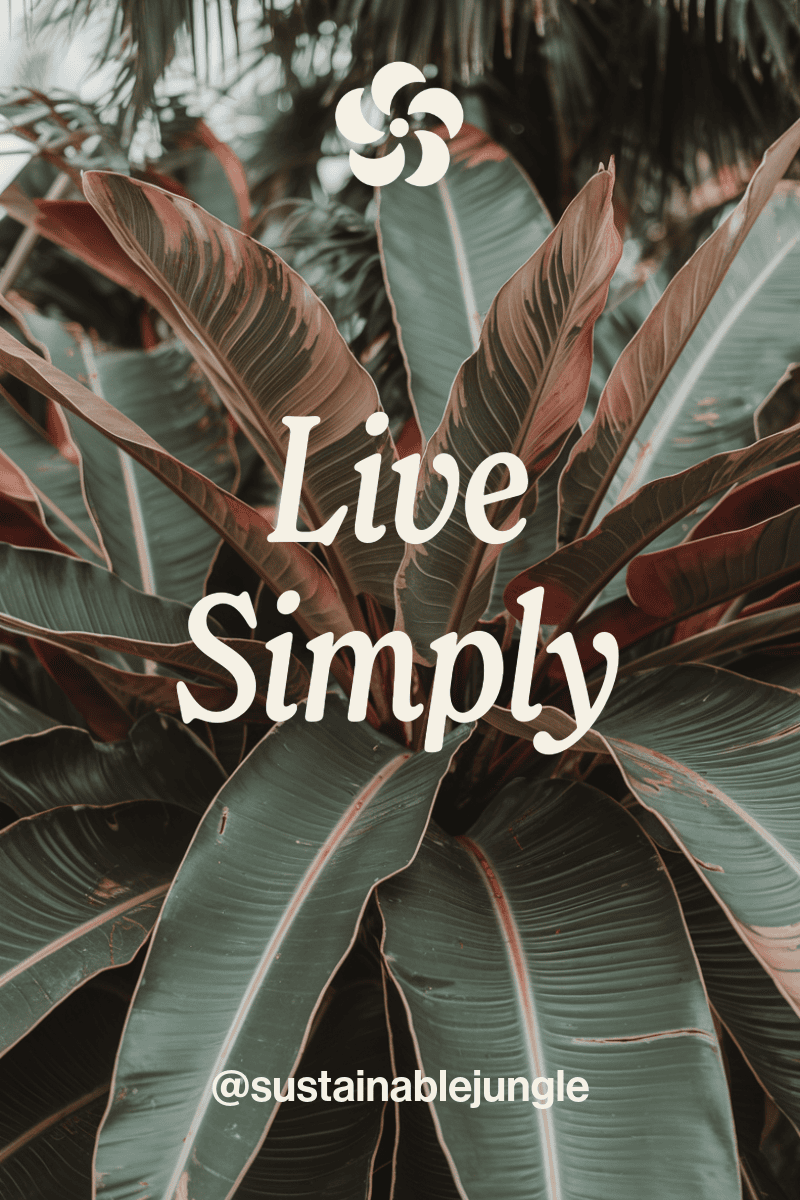 101 Sustainability Tips & Ideas For A Greener Lifestyle