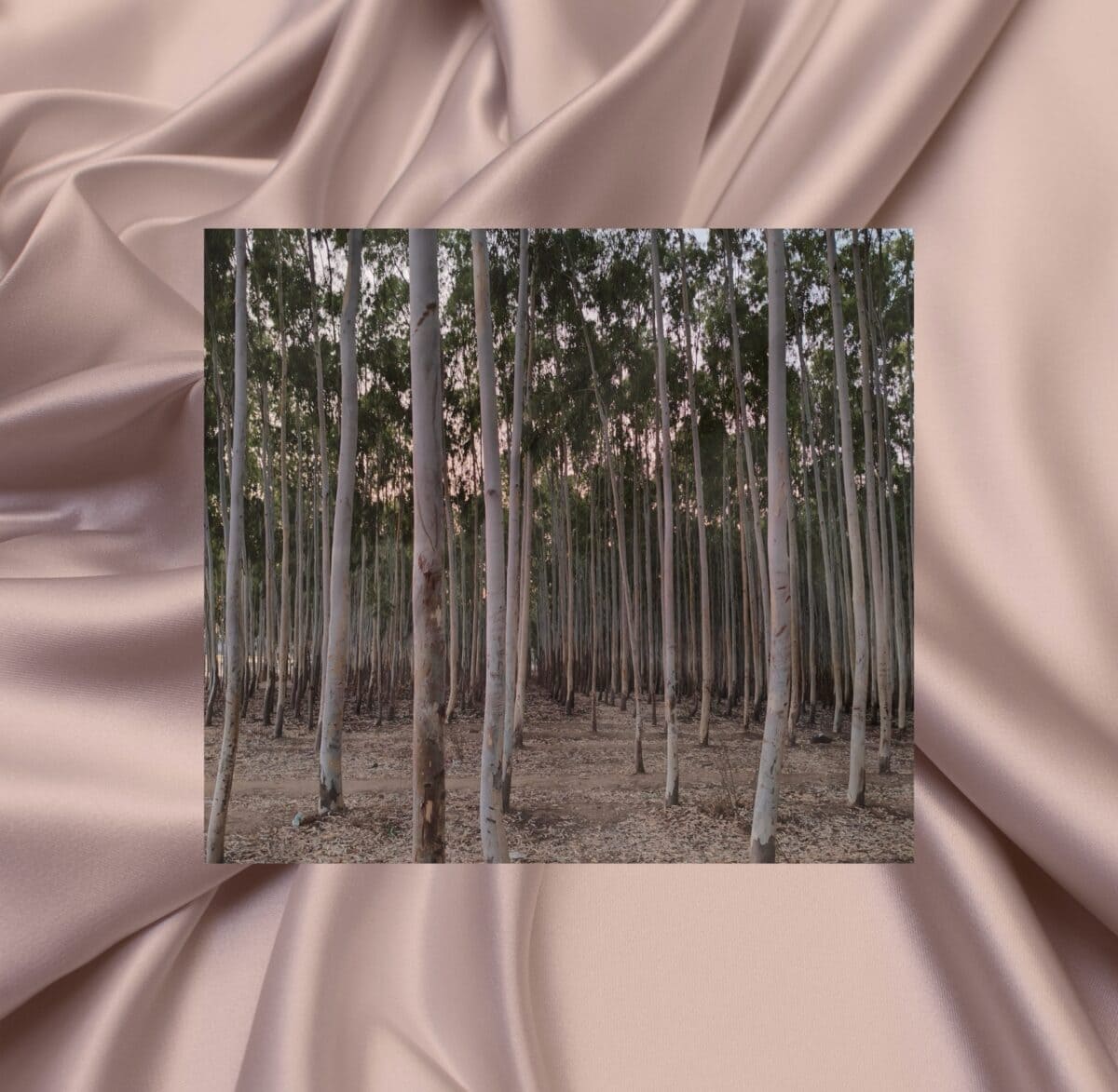 Is Polyester Bad for You? A Research-Based Guide