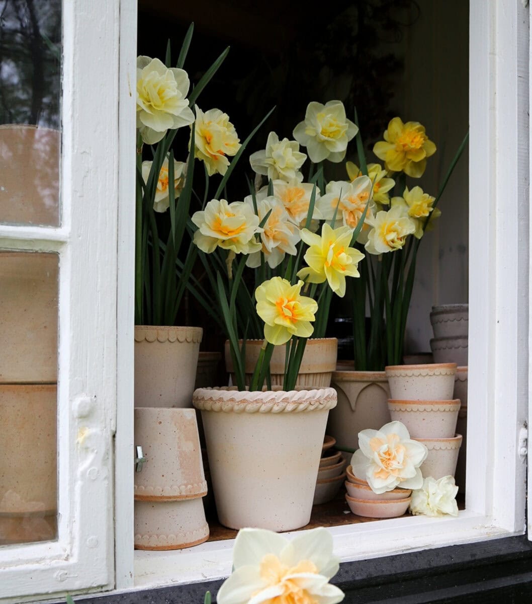 Sustainable Plant Pots: 5 Companies Crafting Planet-Friendly Planters