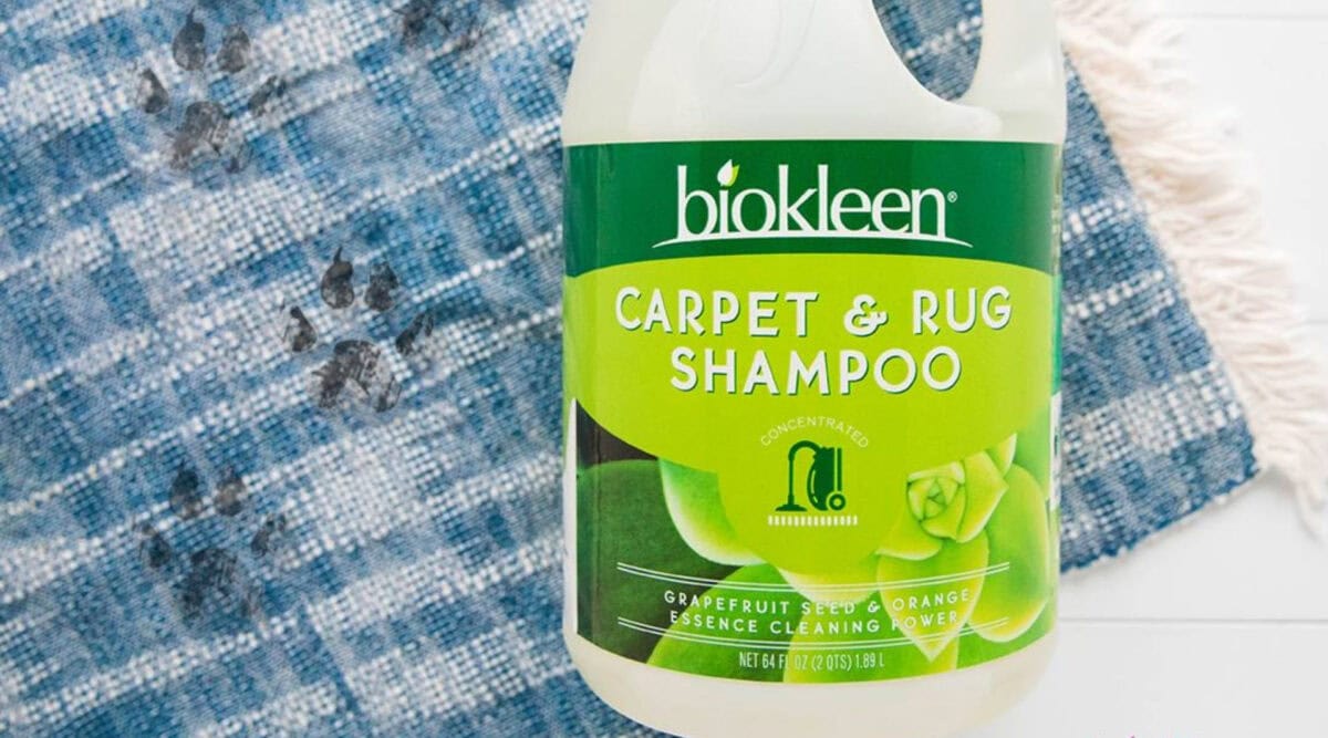 7 Eco-Friendly Carpet Cleaning Products For Responsible Rug Scrubbing