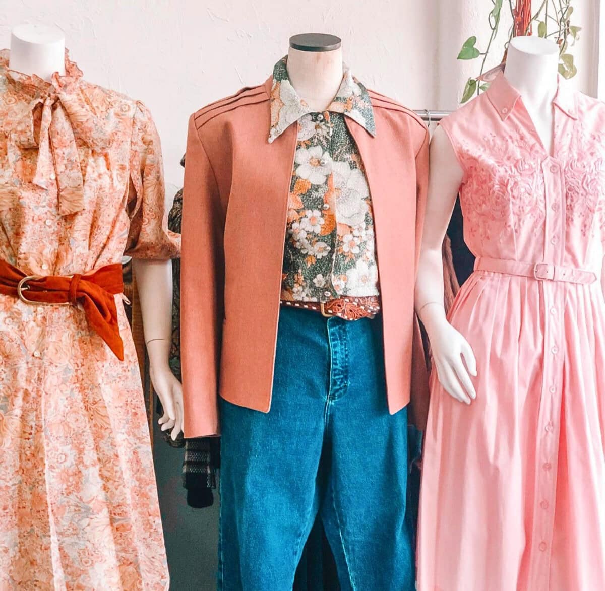 7 Colorado Springs Thrift Stores For Rocky Mountain Retail Therapy