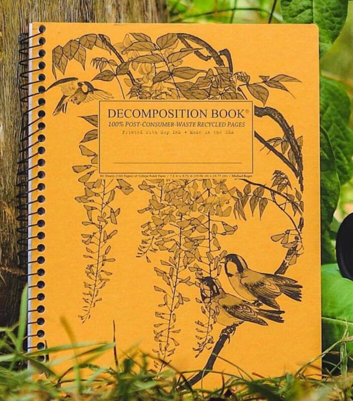 7 Sustainable Notebooks & Journals For All Your Eco-friendly Scribbles
