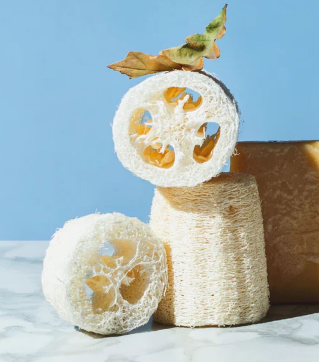 7 Eco-Friendly Loofahs & Loofah Alternatives You Can Scrub Sustainably With