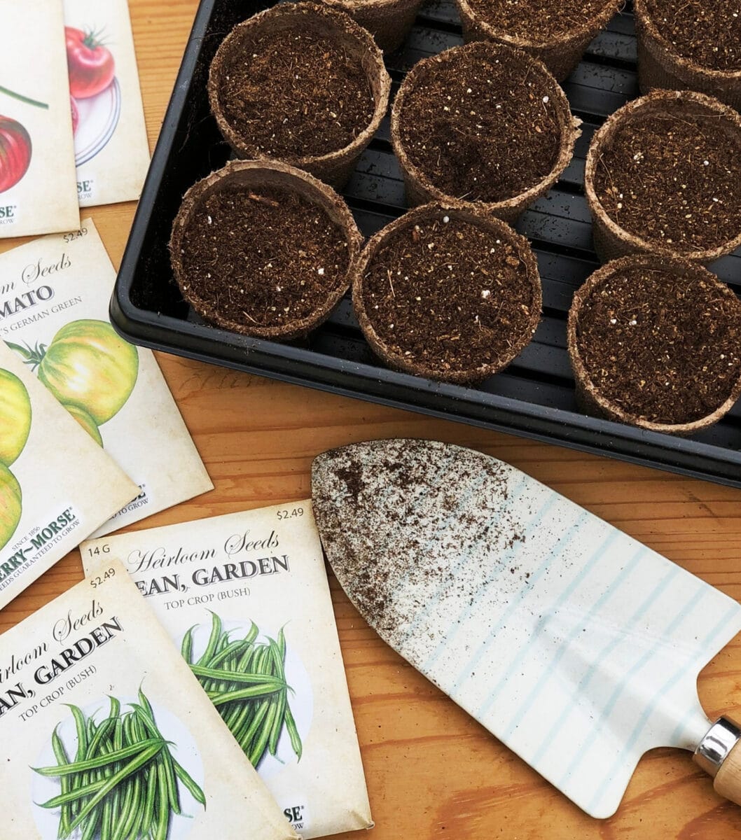 Sustainable Seeds: 8 Companies Growing Plant-astic Bounty