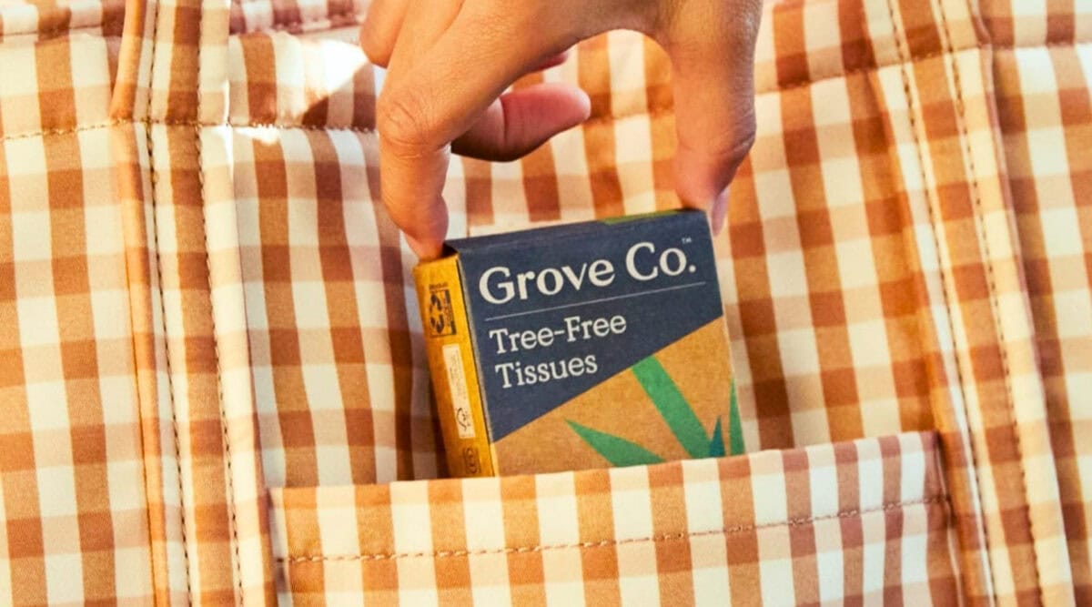 7 Eco-Friendly Tissues To Sustainably Stop Your Snot