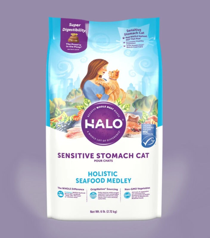 7 Sustainable Cat Food Brands To Make The Most of 9 Lives