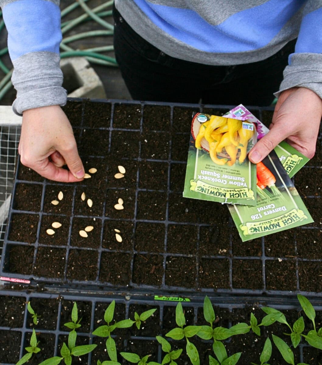 Sustainable Seeds: 8 Companies Growing Plant-astic Bounty