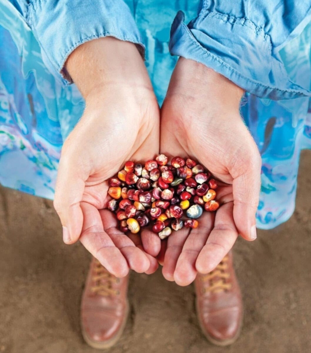 Sustainable Seeds: 8 Companies Growing Plant-astic Bounty