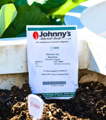 Sustainable Seeds: 8 Companies Growing Plant-astic Bounty
