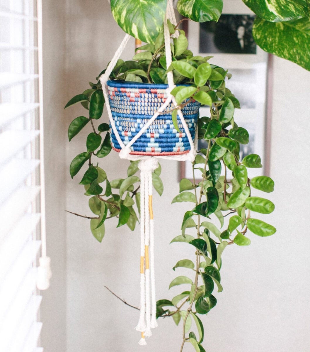 Sustainable Plant Pots: 5 Companies Crafting Planet-Friendly Planters