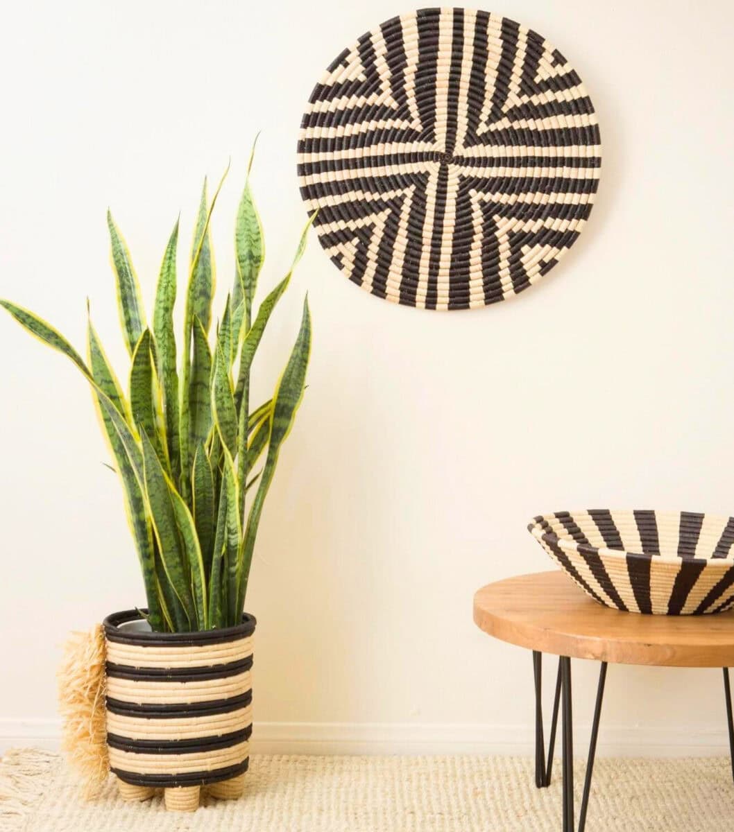 Sustainable Plant Pots: 5 Companies Crafting Planet-Friendly Planters