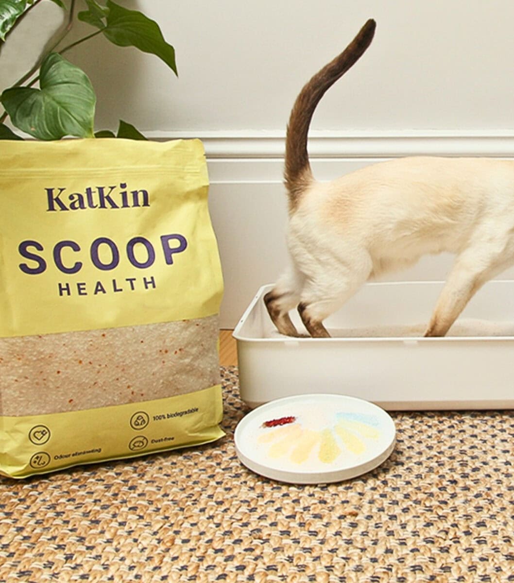 7 Eco-Friendly Cat Litter Brands That Are Paw-sitively Purr-Fect