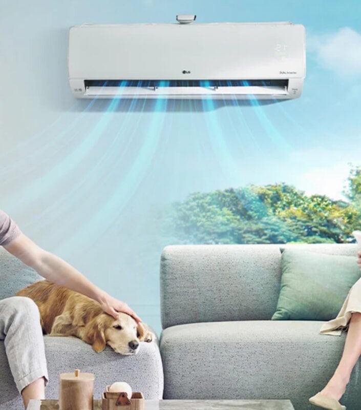 7 Eco-Friendly Appliances To Cook, Cool, & Clean