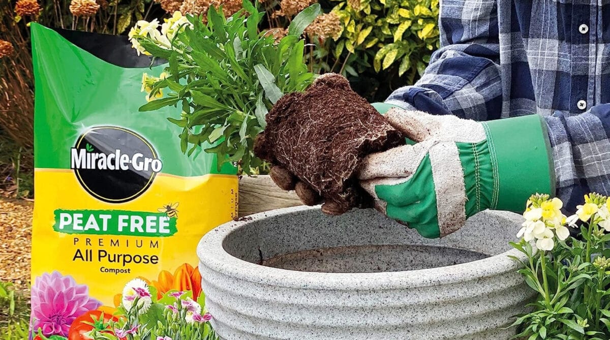 9 Peat-Free Compost Brands To Feed Plants Not Climate Change
