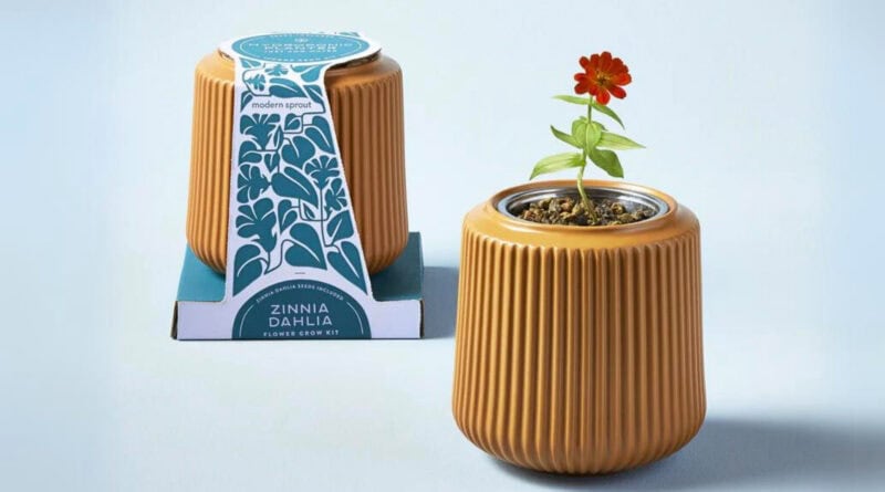 6 Home Growing Kits To Nourish Your Apartment & Your Appetite