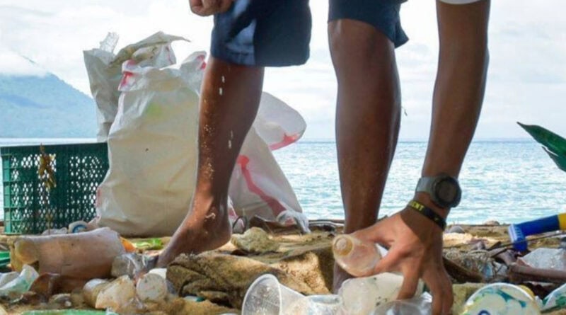 7 Eco-Friendly Search Engines To Sustainably Browse The Web