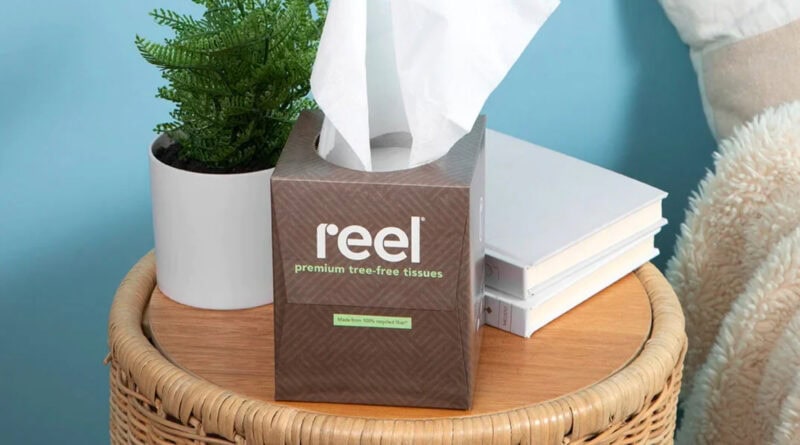 7 Eco-Friendly Tissues To Sustainably Stop Your Snot