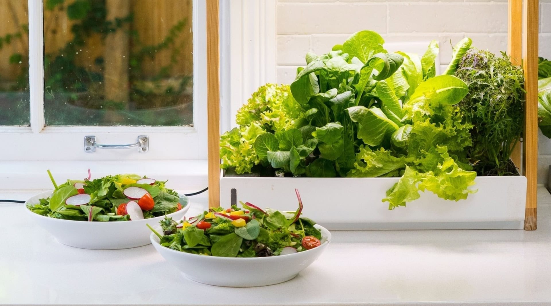 7 Home Growing Kits To Nourish Your Apartment & Your Appetite