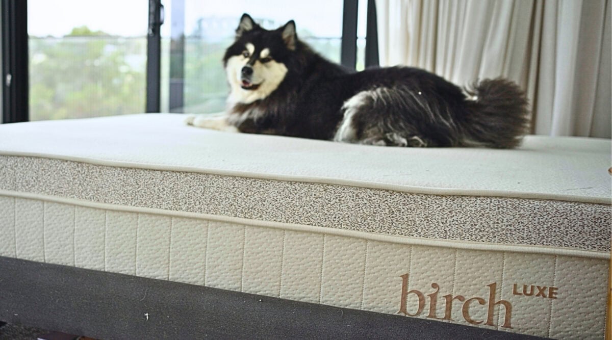 7 Sustainable Mattress Toppers That Don’t Tussle With Mother Nature