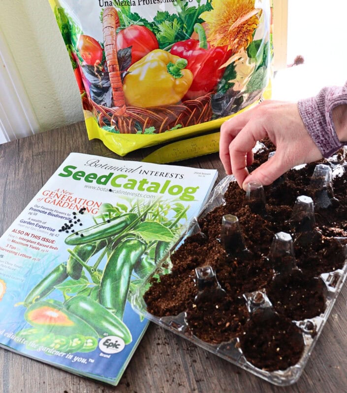 Sustainable Seeds: 8 Companies Growing Plant-astic Bounty