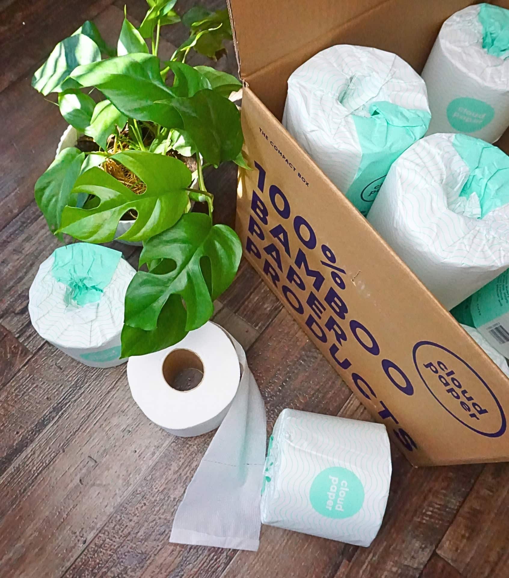 9 Eco-Friendly Toilet Paper Brands For A Planet-Friendly Potty