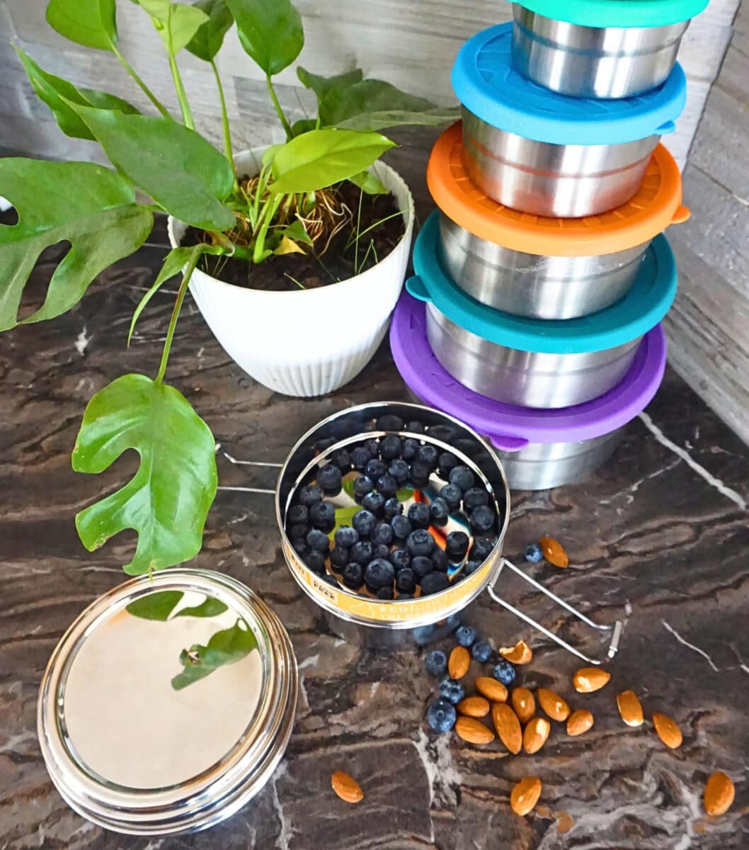 9 Eco-Friendly Alternatives to Ziploc Bags