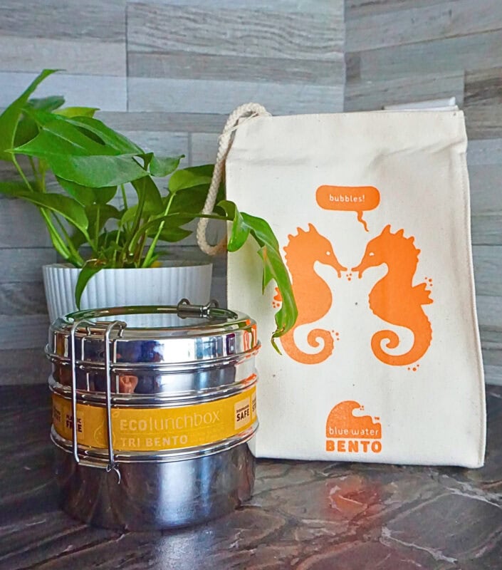 9 Eco-Friendly Lunch Boxes & Bags For Plastic Free Lunchtimes