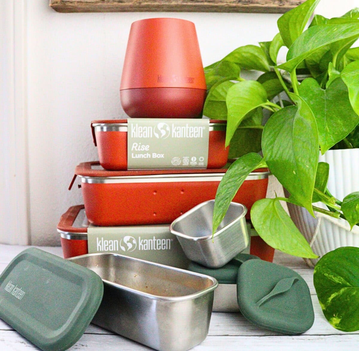 11 Safest Food Storage Containers For Non-Toxic Noms