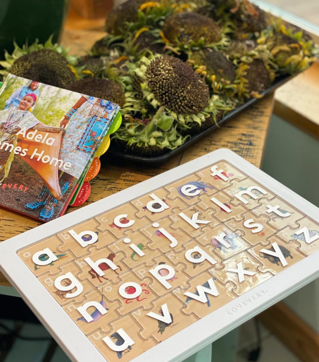 9 Organic Baby Toys For Safe & Non-Toxic Play