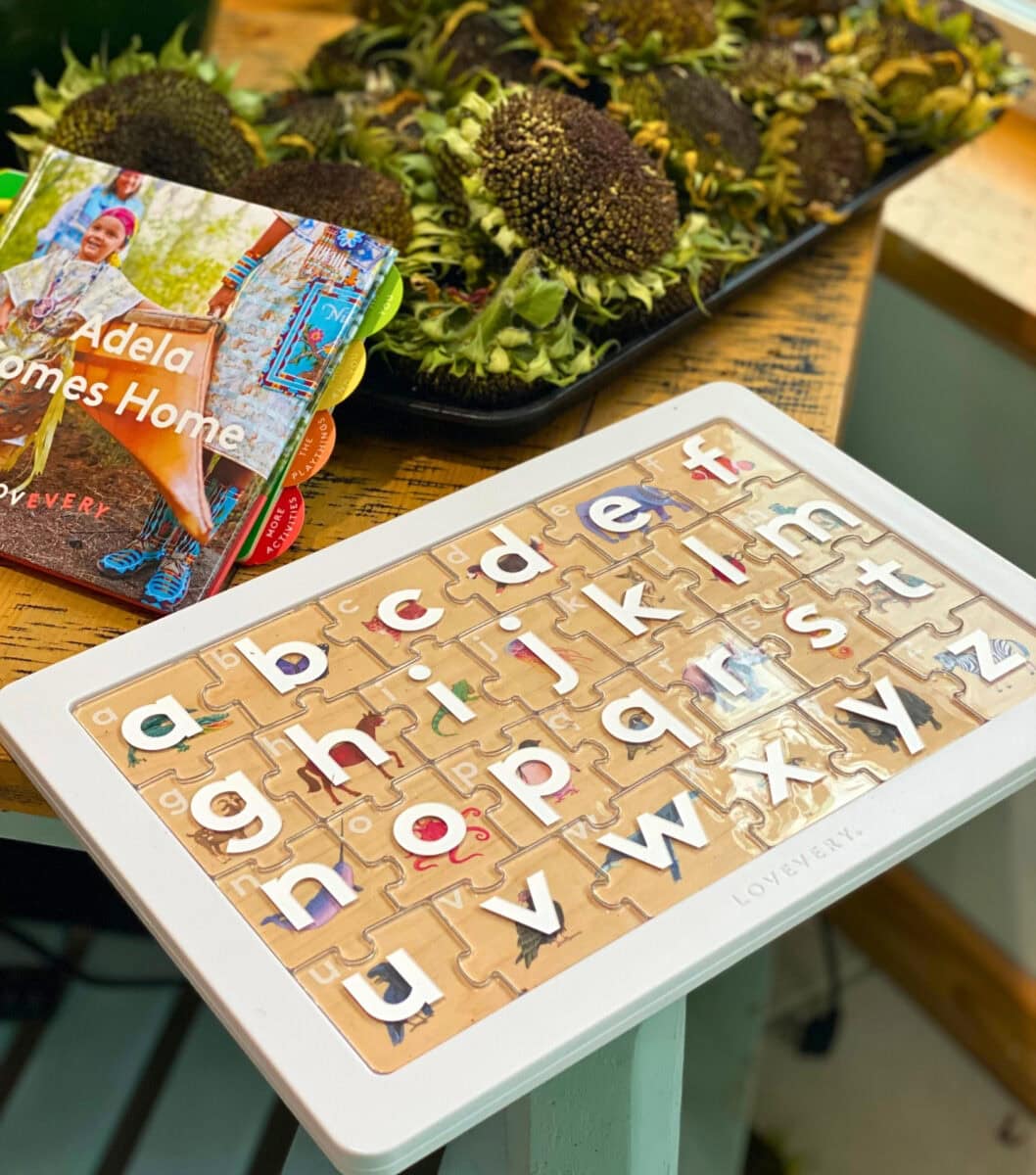 9 Sustainable Toys For Smart, Eco-Friendly Fun