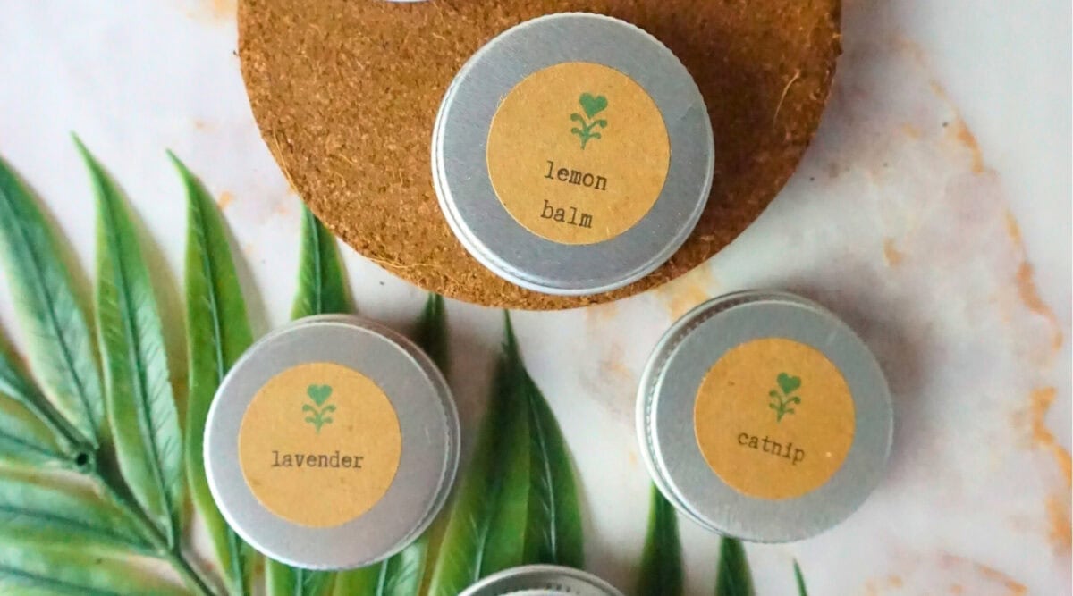 6 Home Growing Kits To Nourish Your Apartment & Your Appetite