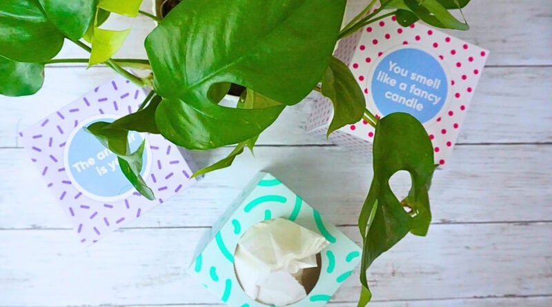 7 Eco-Friendly Tissues To Sustainably Stop Your Snot