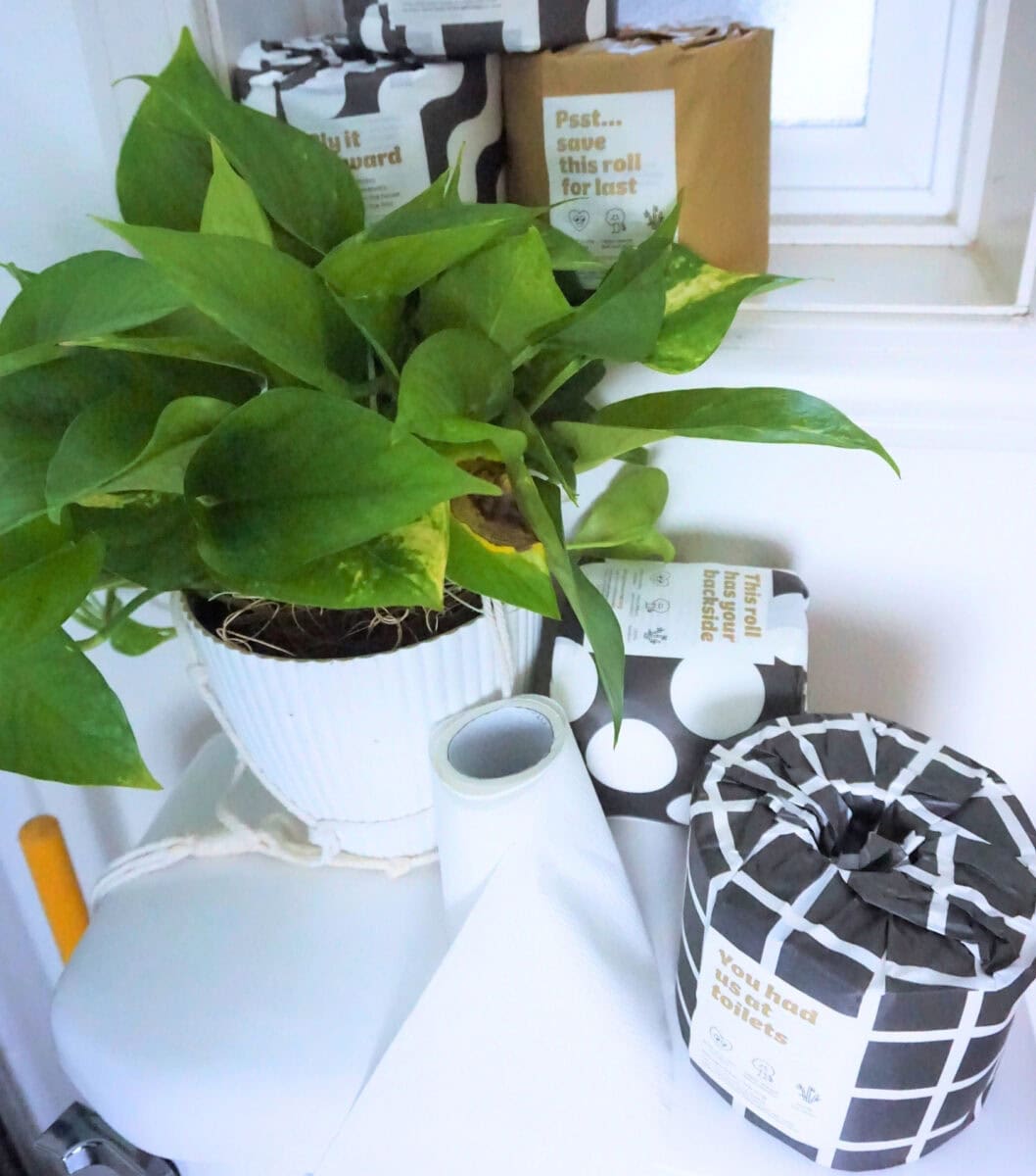 7 Best Bamboo Toilet Paper Brands That Are Soft & Safer