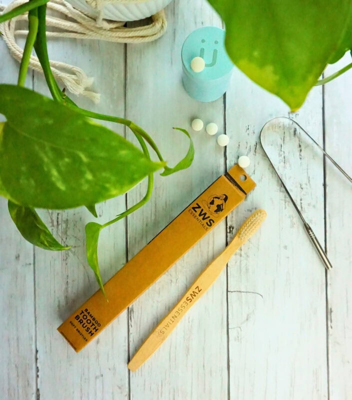 9 Sustainable Toothbrushes Cleaning Your Pearly Whites & The Planet