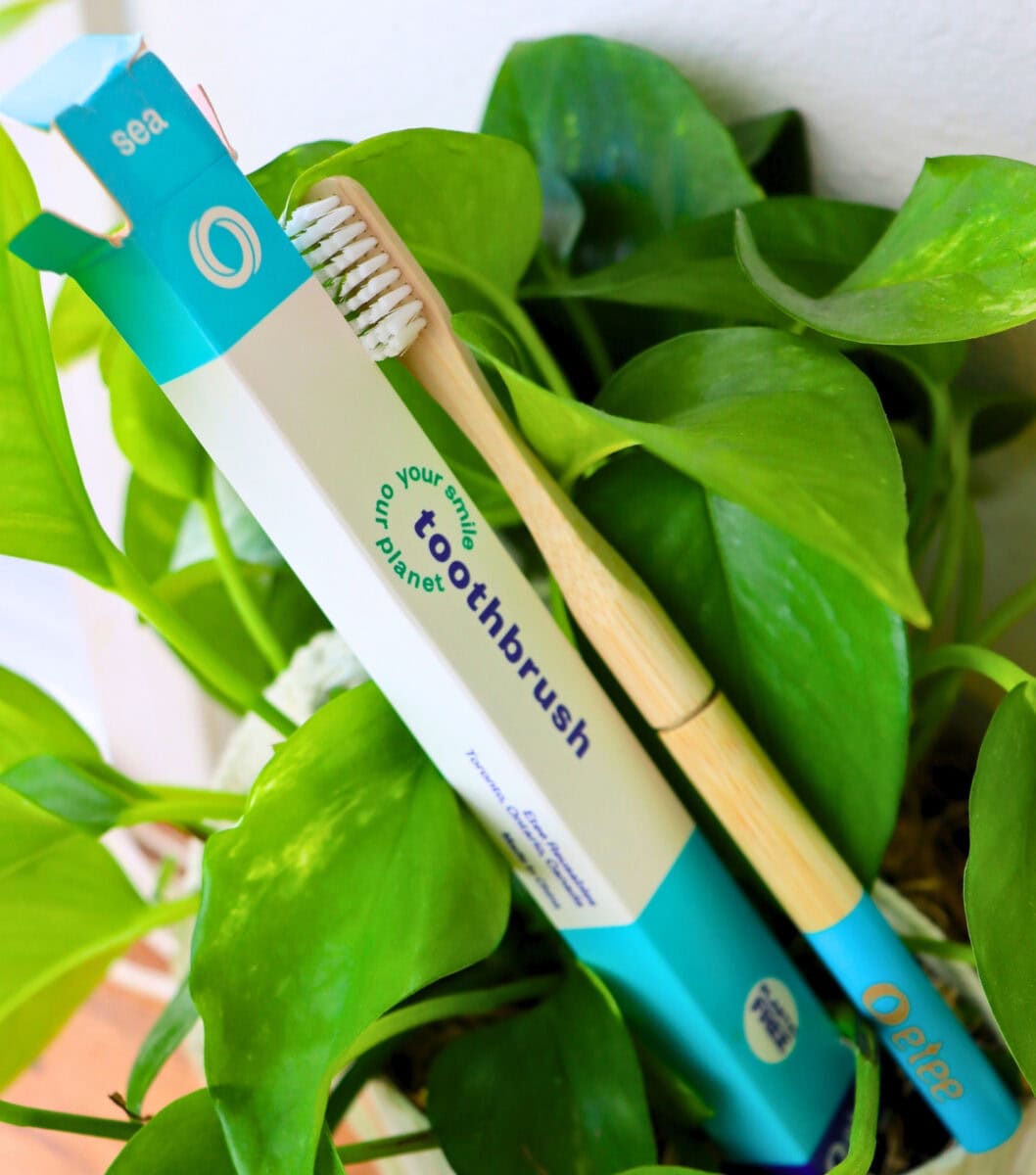 9 Sustainable Toothbrushes Cleaning Your Pearly Whites & The Planet