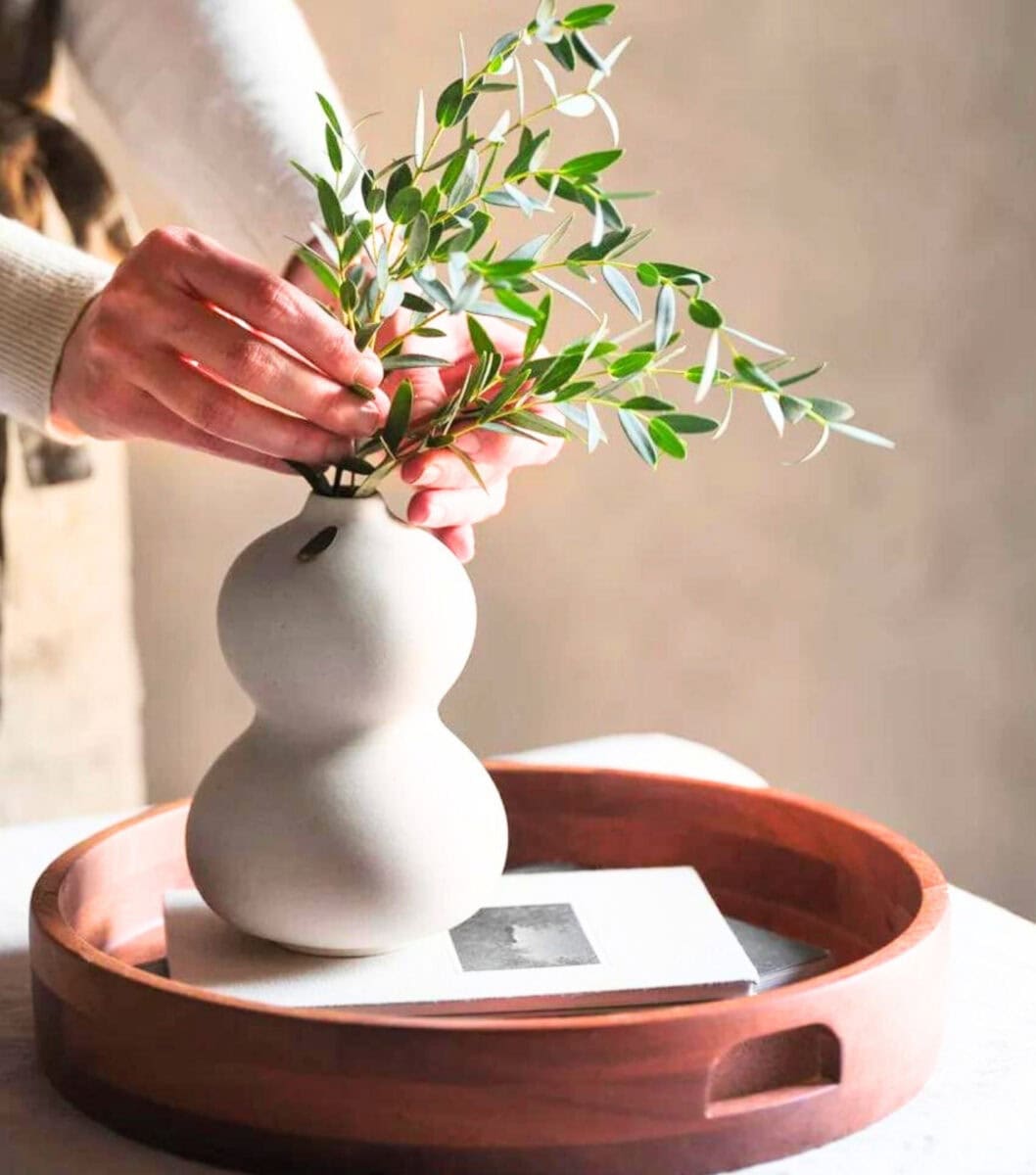 Sustainable Plant Pots: 5 Companies Crafting Planet-Friendly Planters