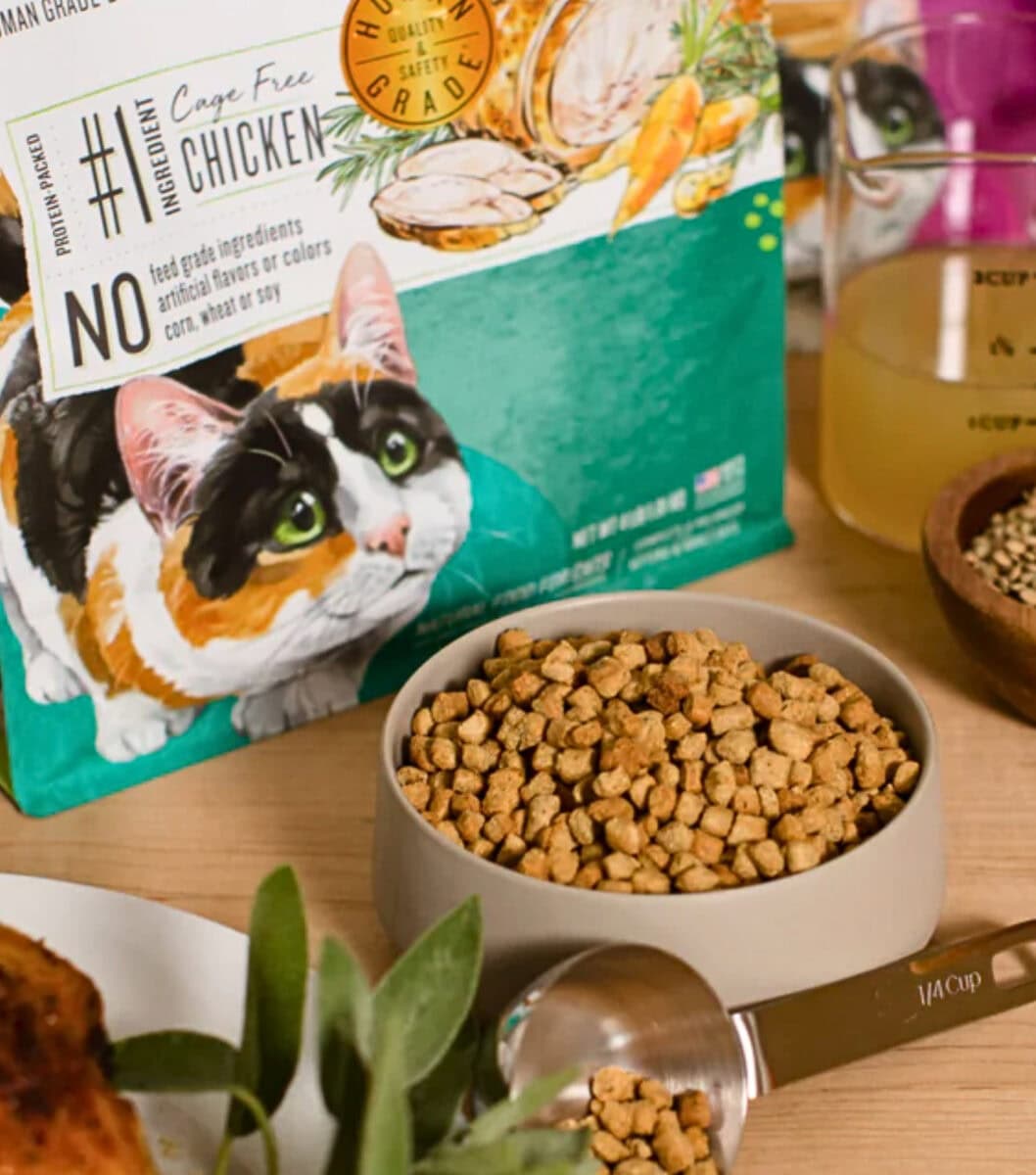 7 Sustainable Cat Food Brands To Make The Most of 9 Lives