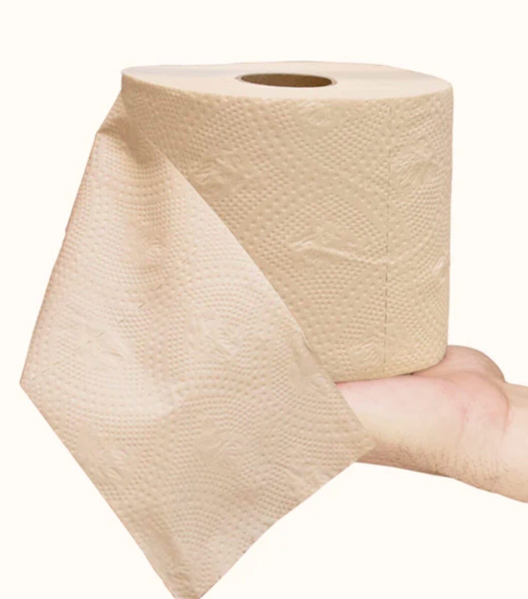 7 Best Bamboo Toilet Paper Brands That Are Soft & Safer