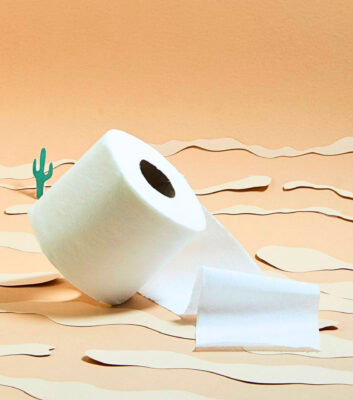 9 Best Non-Toxic Toilet Paper Brands Offering Chemical-Free Wiping