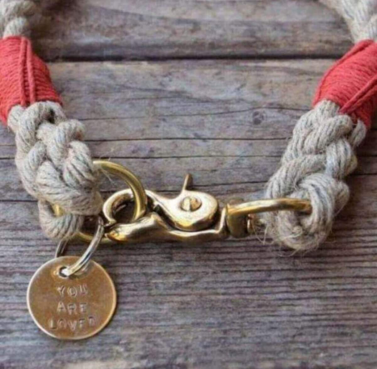 Sustainable Dog Collars, Harnesses And Leashes For The Goodest Boys