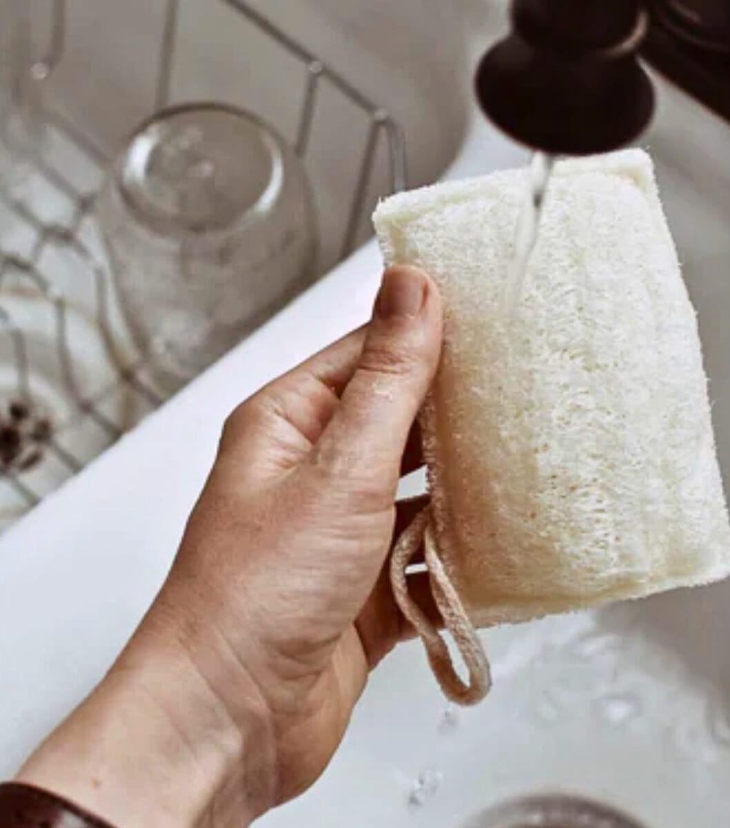 7 Eco-Friendly Loofahs & Loofah Alternatives You Can Scrub Sustainably With
