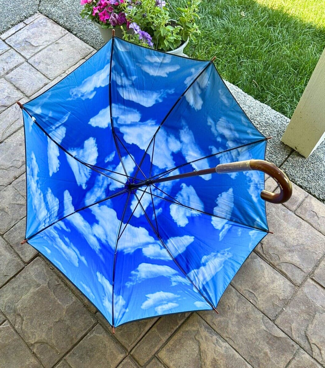 7 Eco-Friendly Umbrellas To Brave Any Storm Sustainably