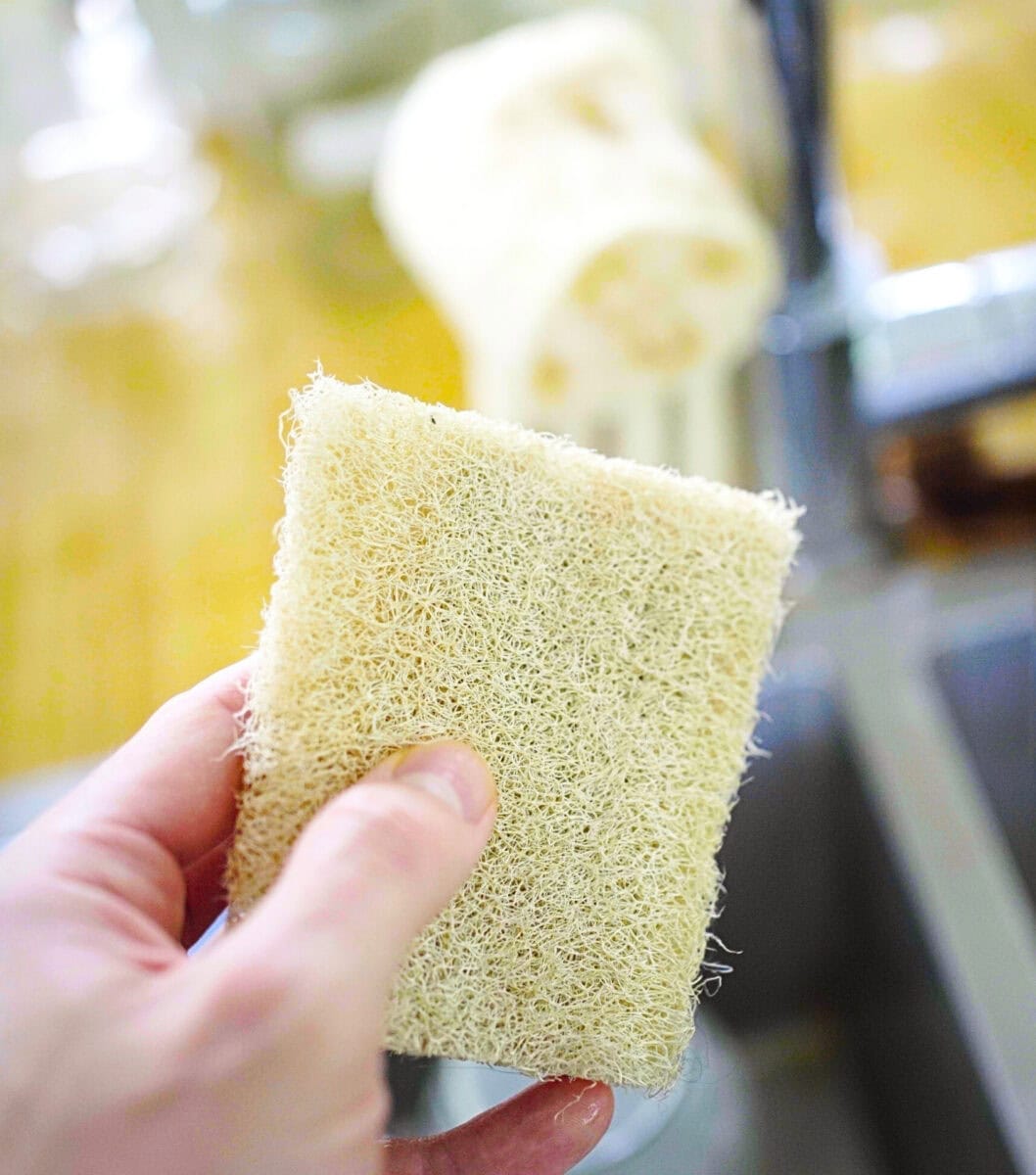 7 Eco-Friendly Loofahs & Loofah Alternatives You Can Scrub Sustainably With