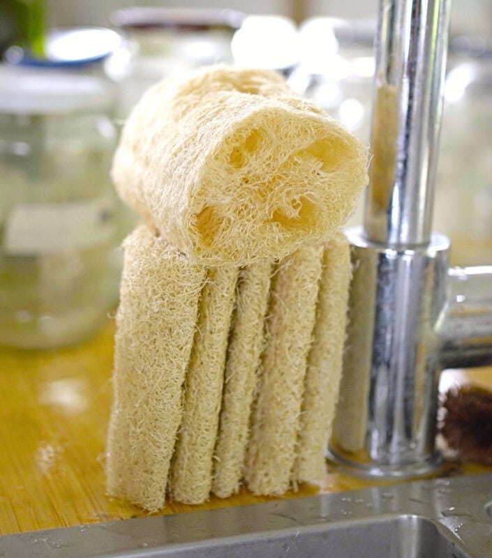 7 Eco-Friendly Loofahs & Loofah Alternatives You Can Scrub Sustainably With