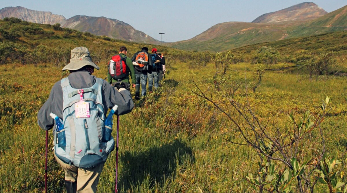 11 Eco-Tourism Companies To Help You Book Your Next Sustainable Adventure