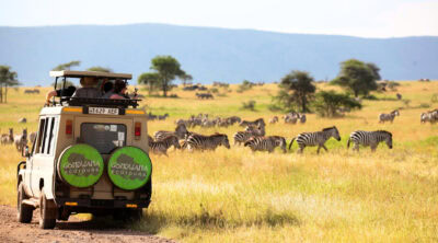 11 Eco-Tourism Companies To Help You Book Your Next Sustainable Adventure